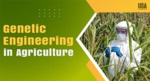 Exploring the Potential of Genetic Engineering in Agriculture