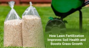 Lawn Fertilization Tips for a Healthy Lawn