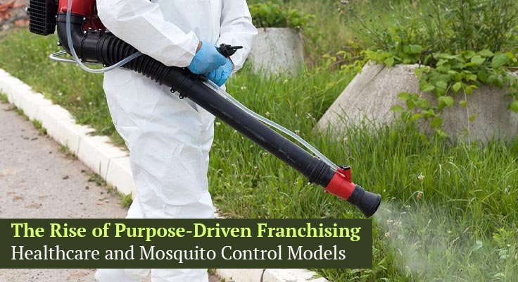 Mosquito Control Models for Aspiring Entrepreneurs